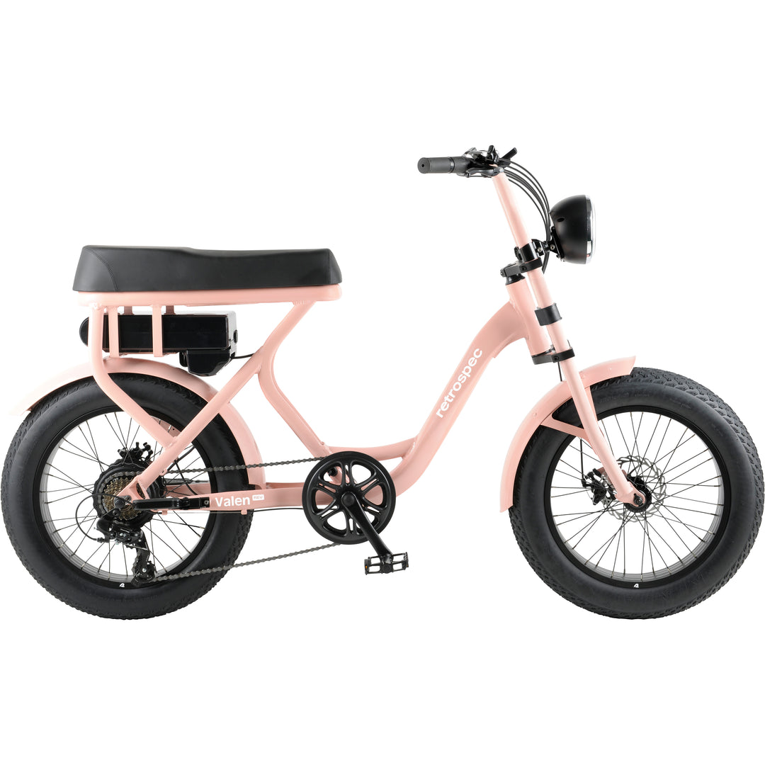 Electric Bikes – Page 2 – Bike Revolution online